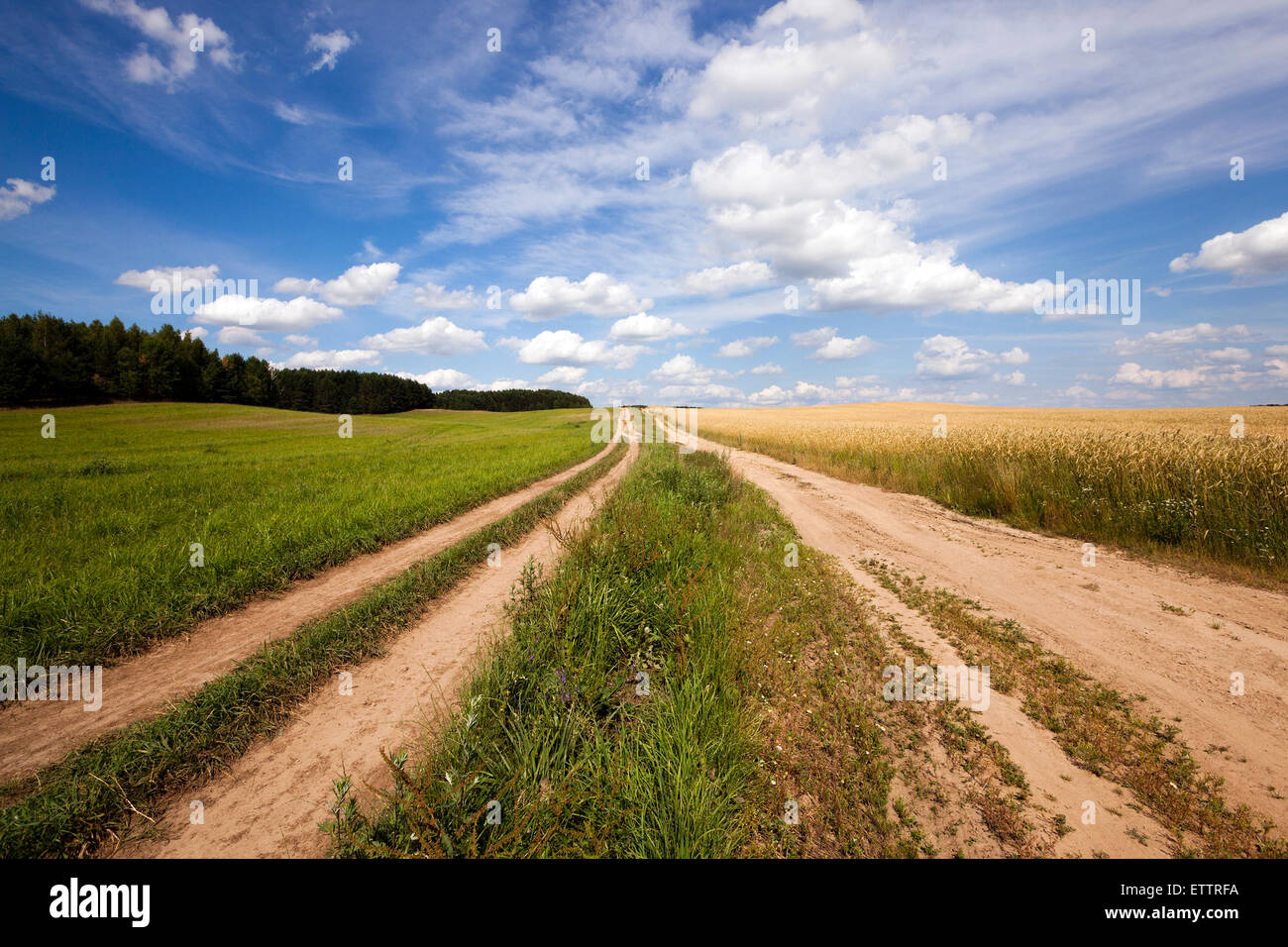 the rural road Stock Photo - Alamy