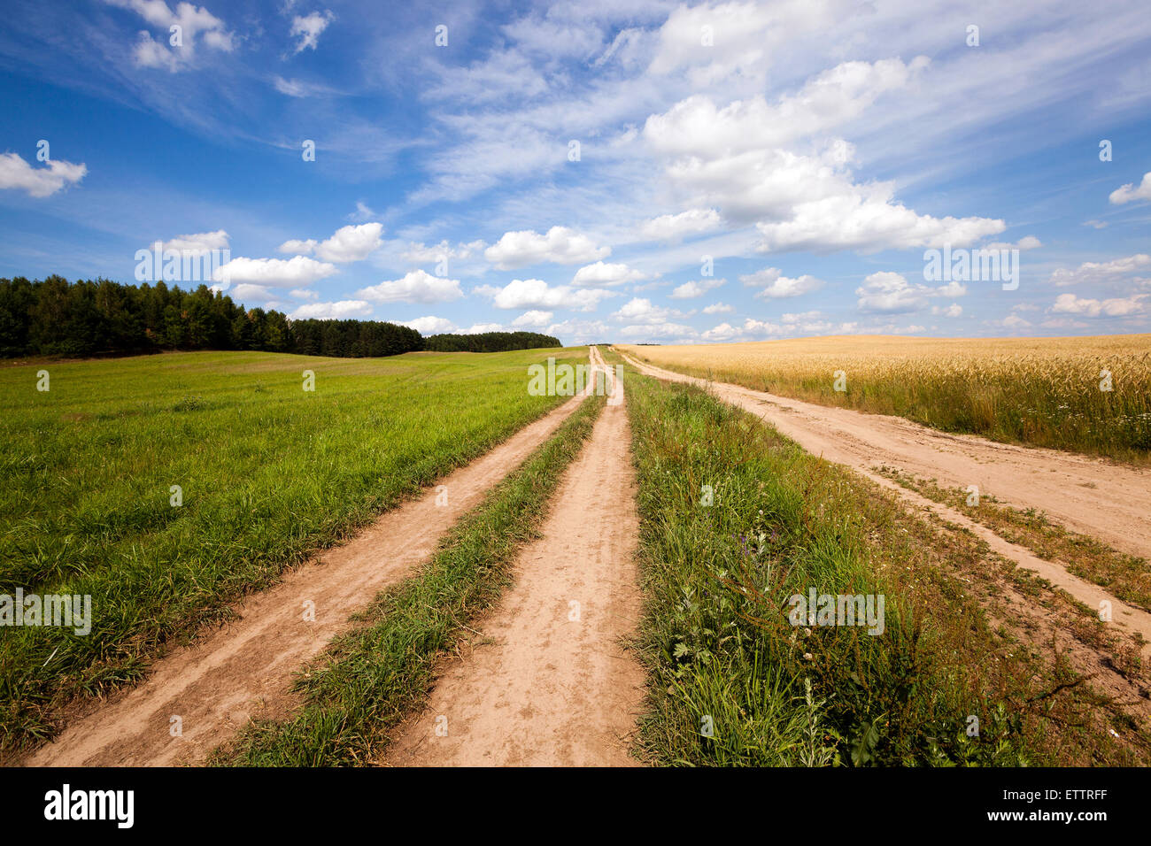 the rural road Stock Photo - Alamy