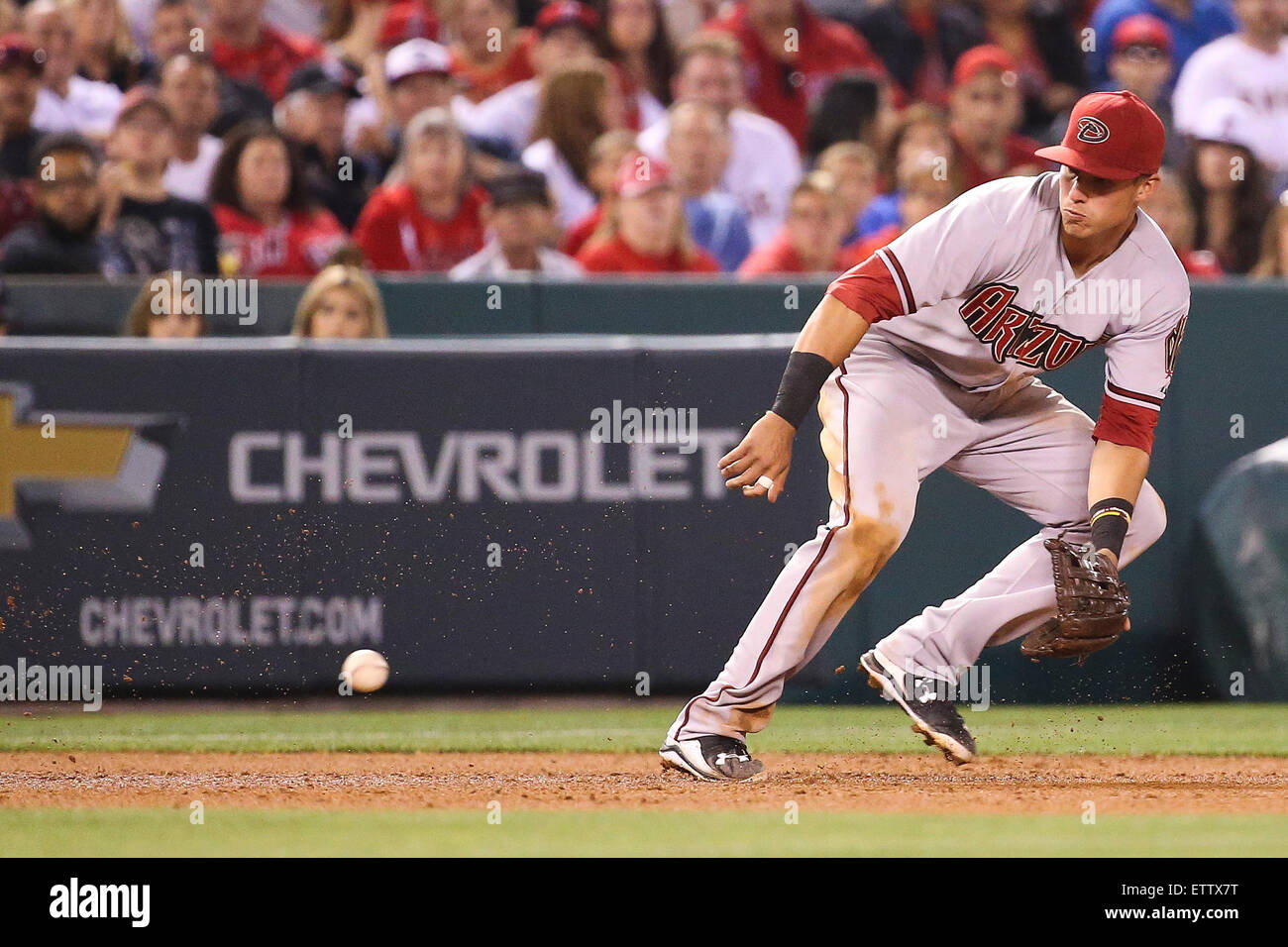 Jake lamb hi-res stock photography and images - Alamy