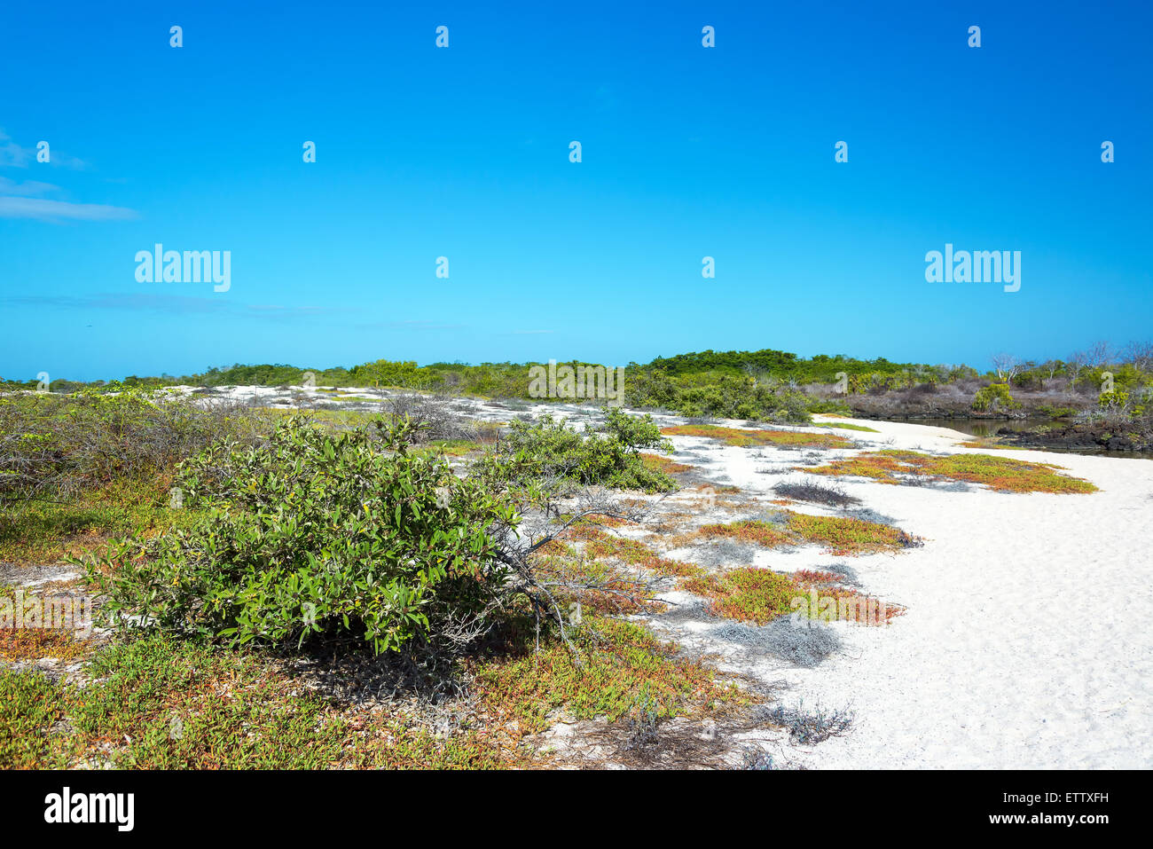 Galapagos islands landscape hi-res stock photography and images - Alamy