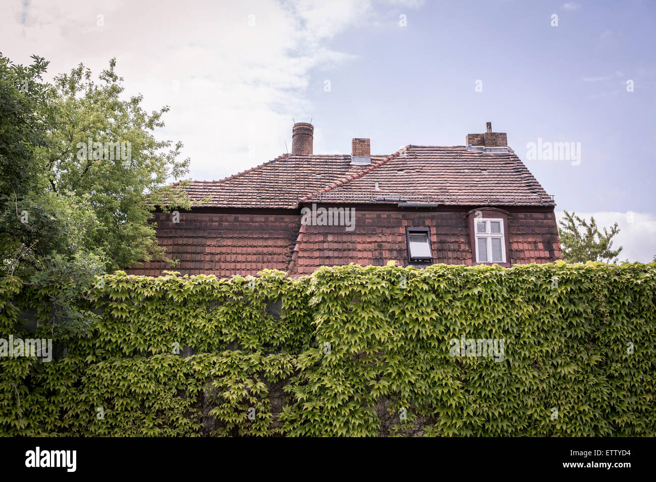 Germany, rooftop of an old house behind wall covered with creeping ...