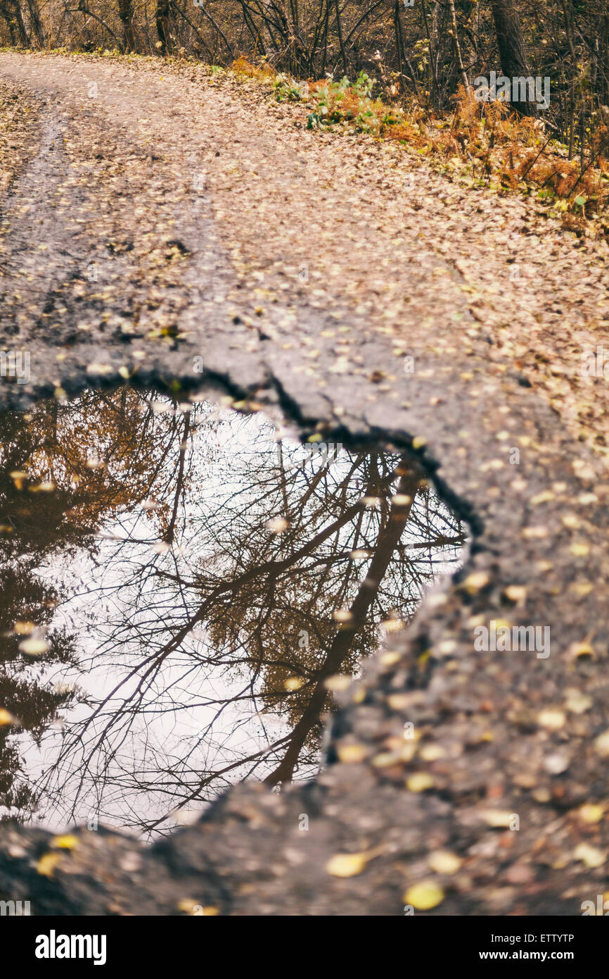 Reflection of trees in puddle on asphalt road Stock Photo - Alamy