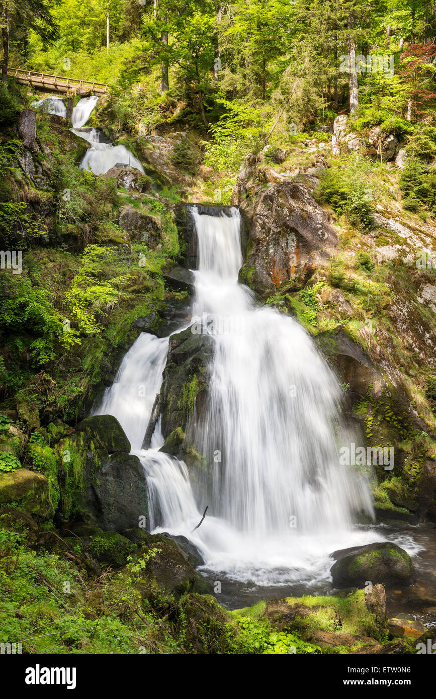 Schwarzwald baar kreis hi-res stock photography and images - Alamy