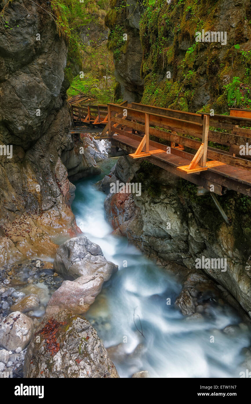 Austria, Salzburg Country, Pinzgau, Weissbach, Footbridge at Seisenberg ...