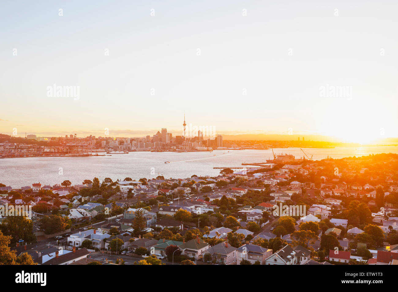 New Zealand, Auckland, Skyline with Sky Tower at sunset Stock Photo - Alamy