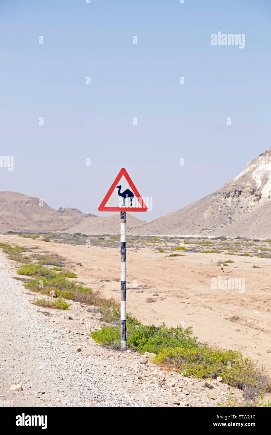 Oman, Ras al-Jinz, camel warning sign Stock Photo - Alamy