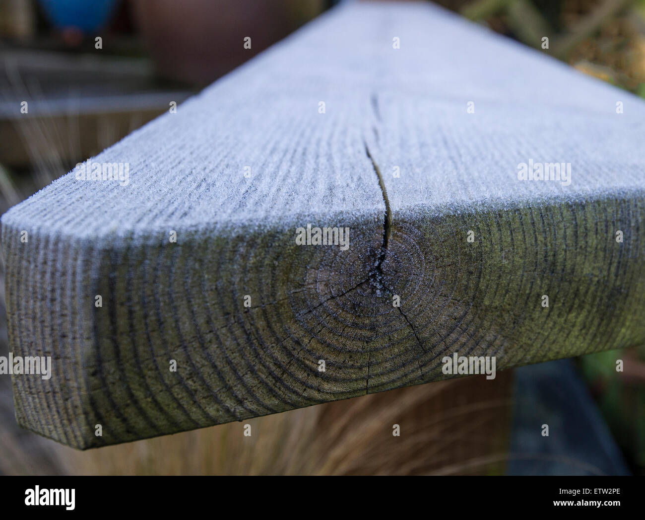 Split log bench hi-res stock photography and images - Alamy