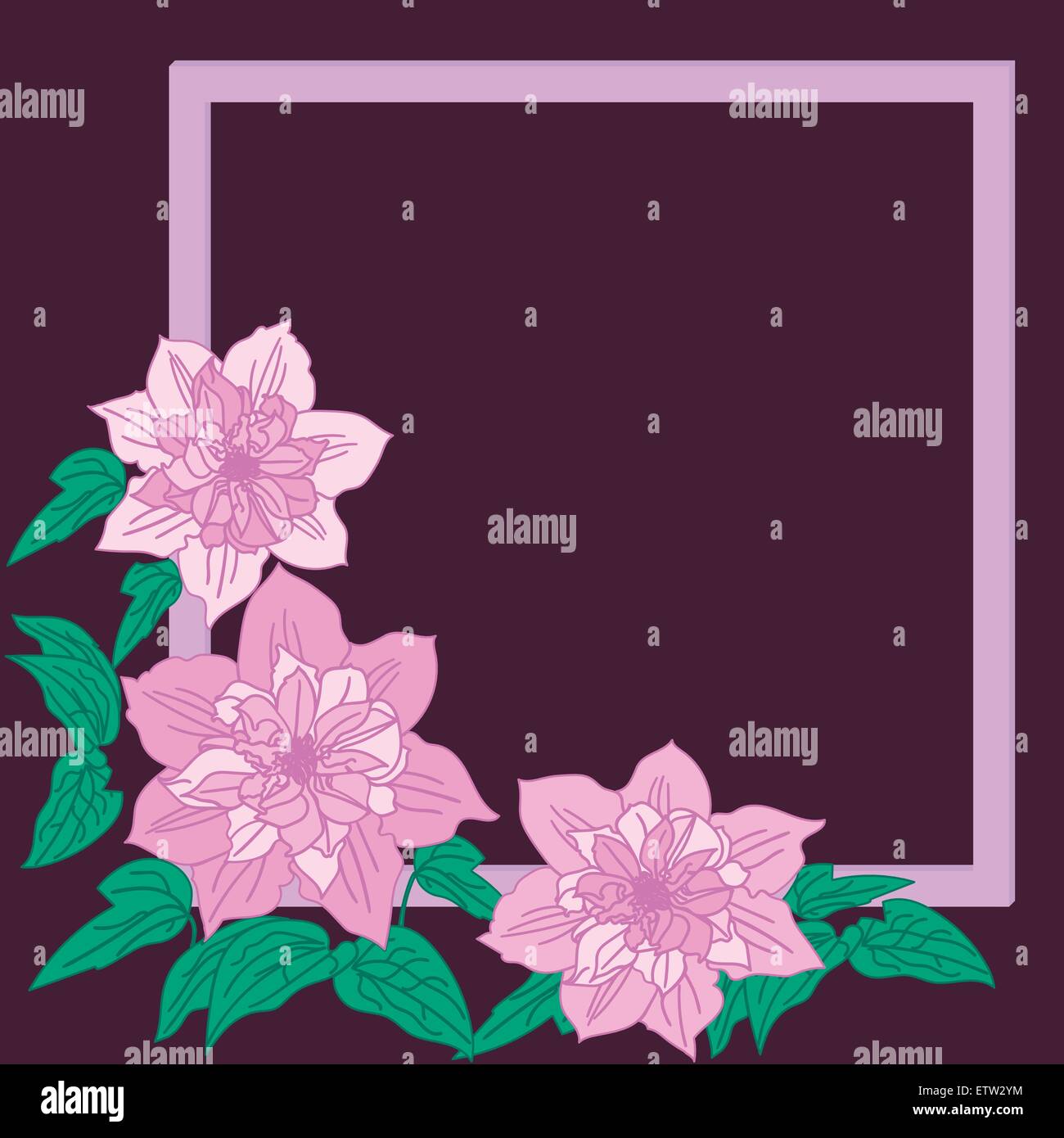 Pink terry clematis Stock Vector Image & Art - Alamy