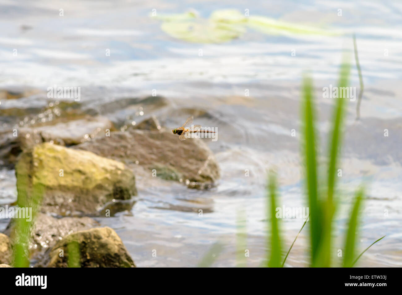 Flying river hi-res stock photography and images - Alamy