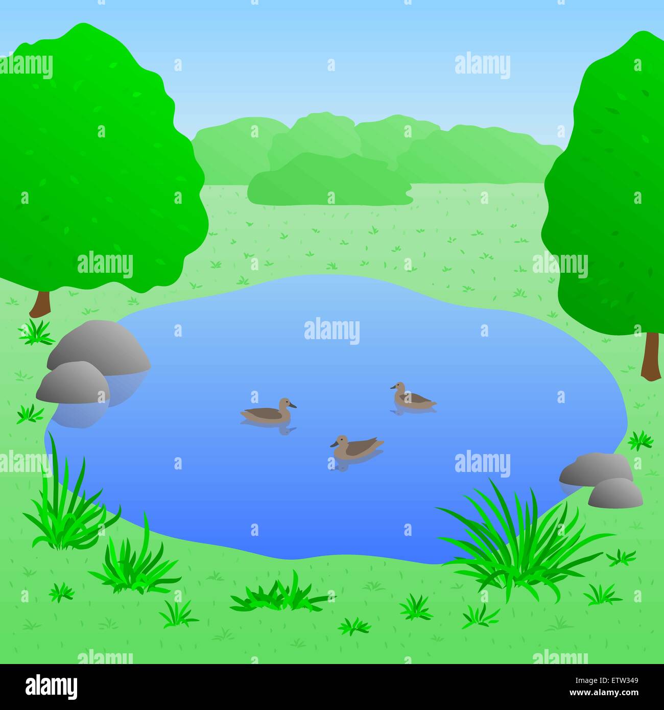 Beautiful lake with ducks, summer landscape, vector illustration Stock ...