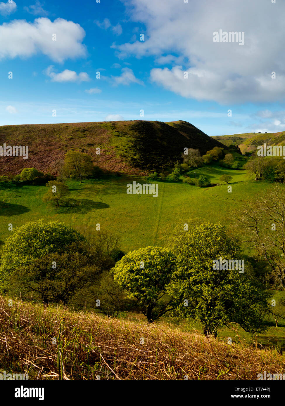 Batch Valley on the Long Mynd near Church Stretton in the Shropshire ...