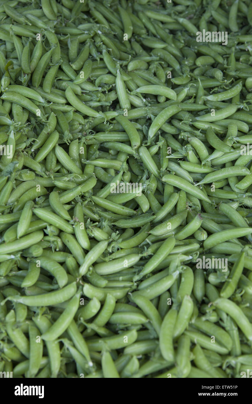 Sugar snap hi-res stock photography and images - Alamy