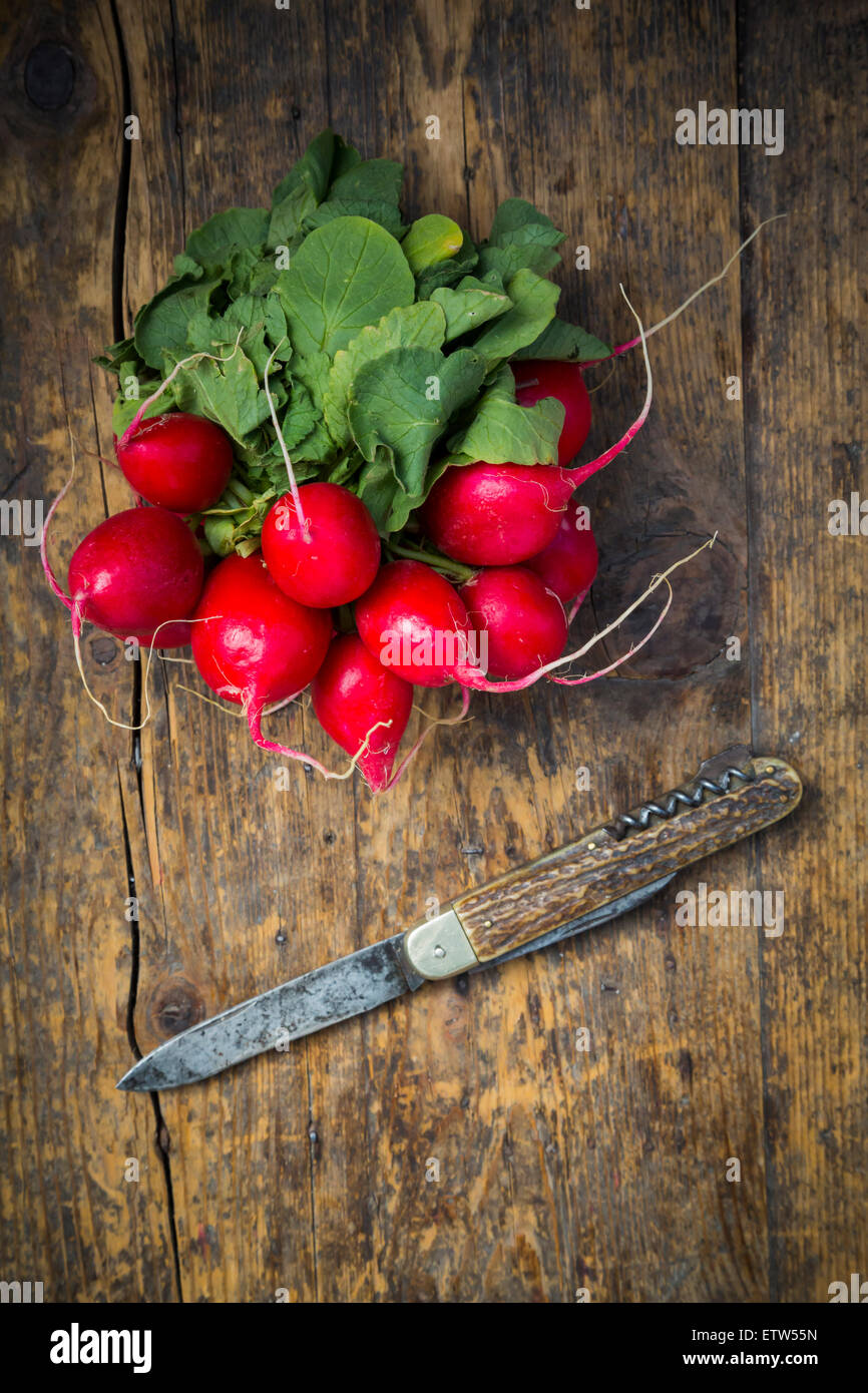 Bunch of organic radish and pocket knife Stock Photo - Alamy
