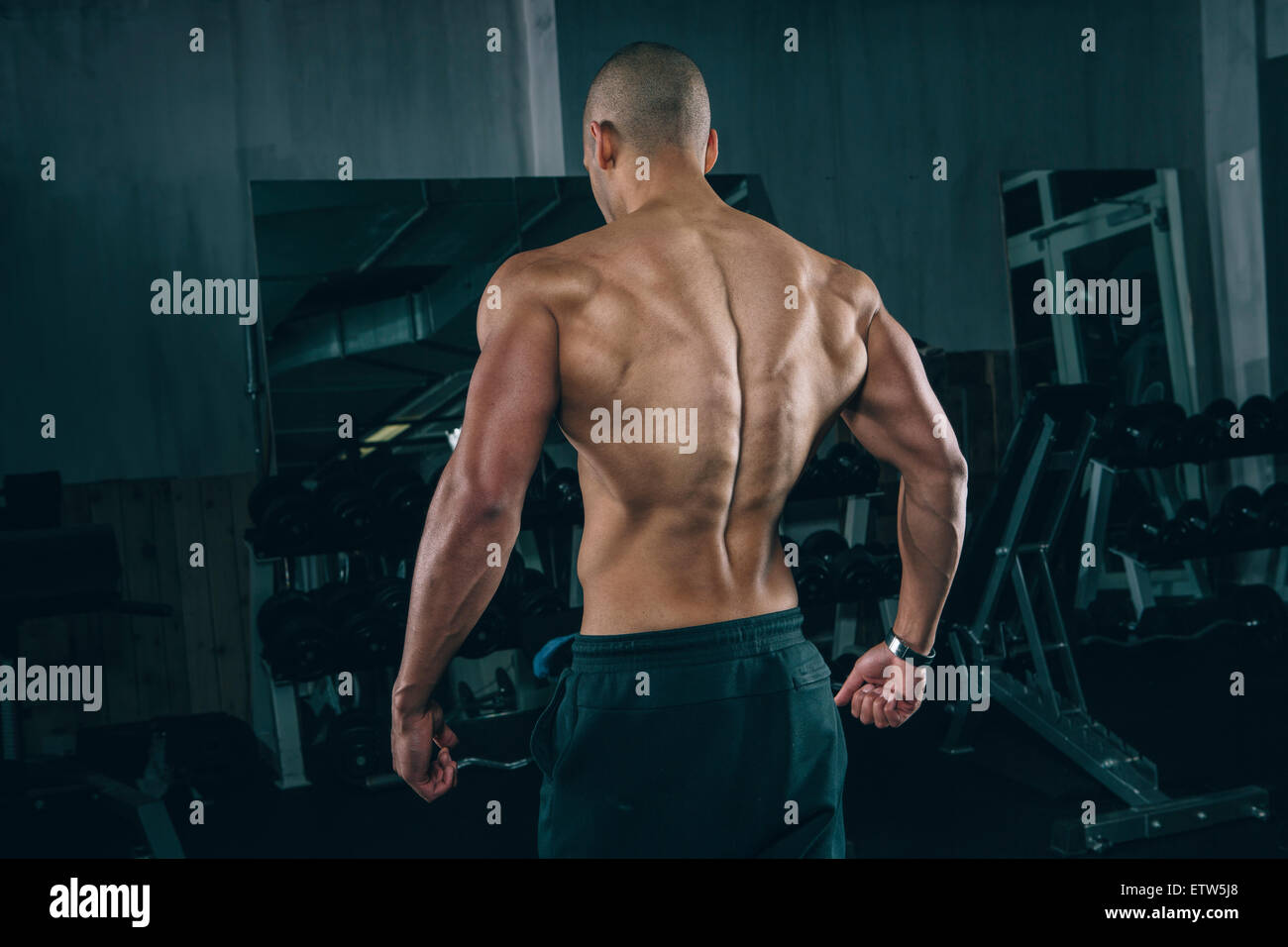 Back muscles of a young man at gym Stock Photo - Alamy