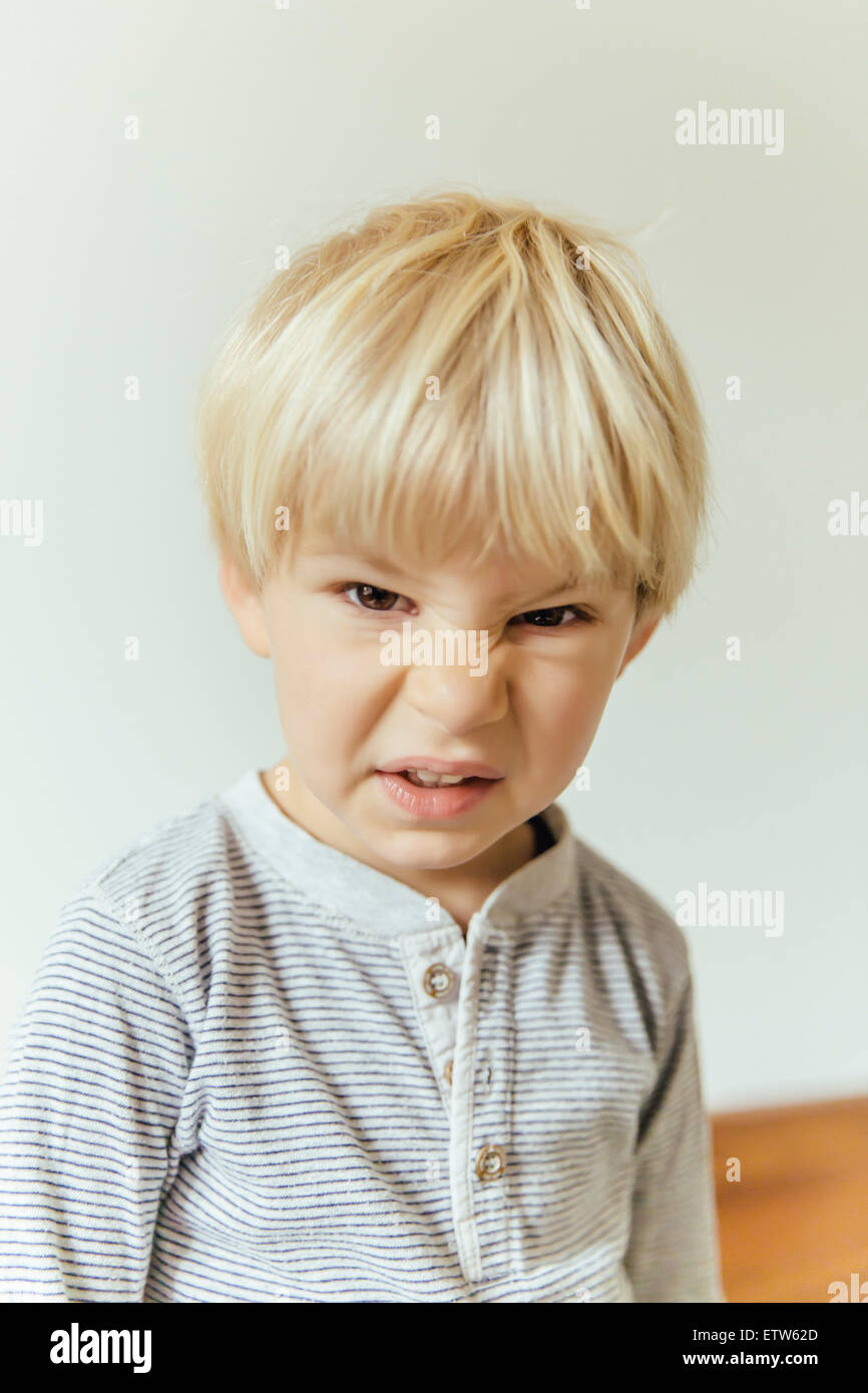 Rabbit faces hi-res stock photography and images - Alamy