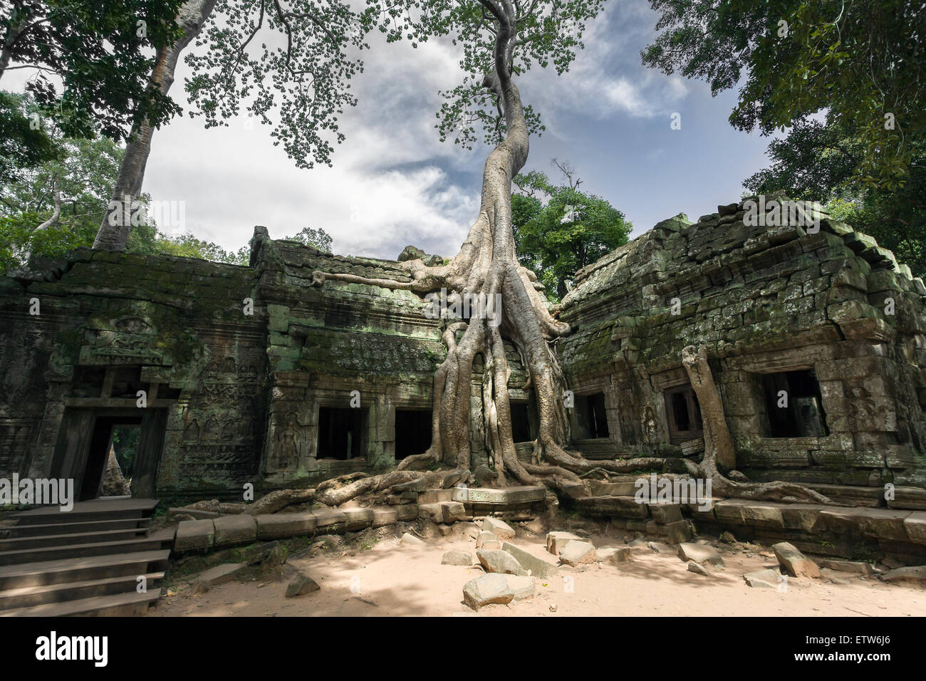 Cambodia, Siem Reap, Angkor Wat, Ta Prohm Temple Stock Photo - Alamy Cambodia, Siem Reap, Angkor Wat, Ta Prohm Temple Stock Photo - Alamy