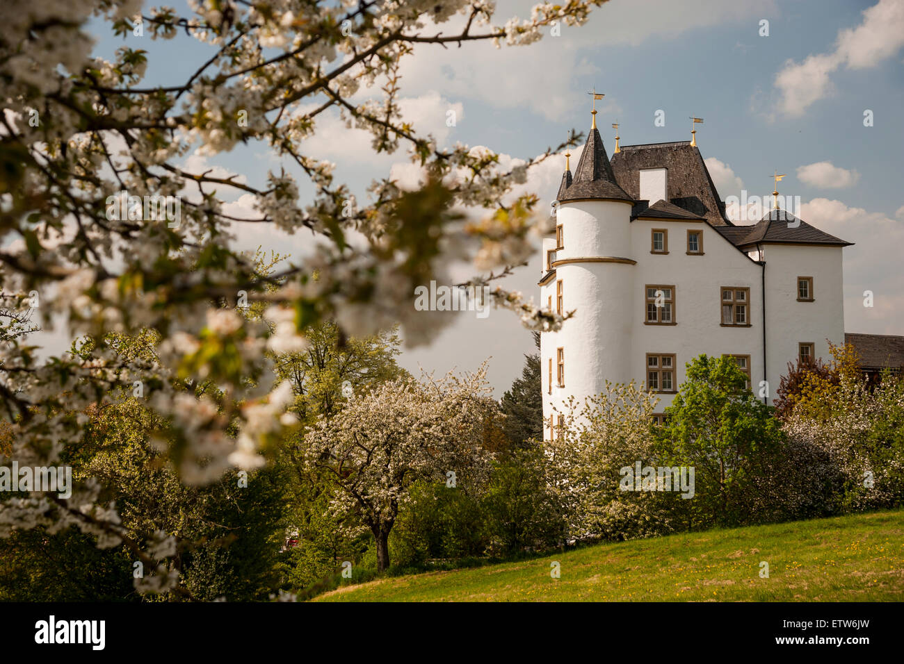 Germany, Saarland, Perl, Berg Castle Stock Photo - Alamy
