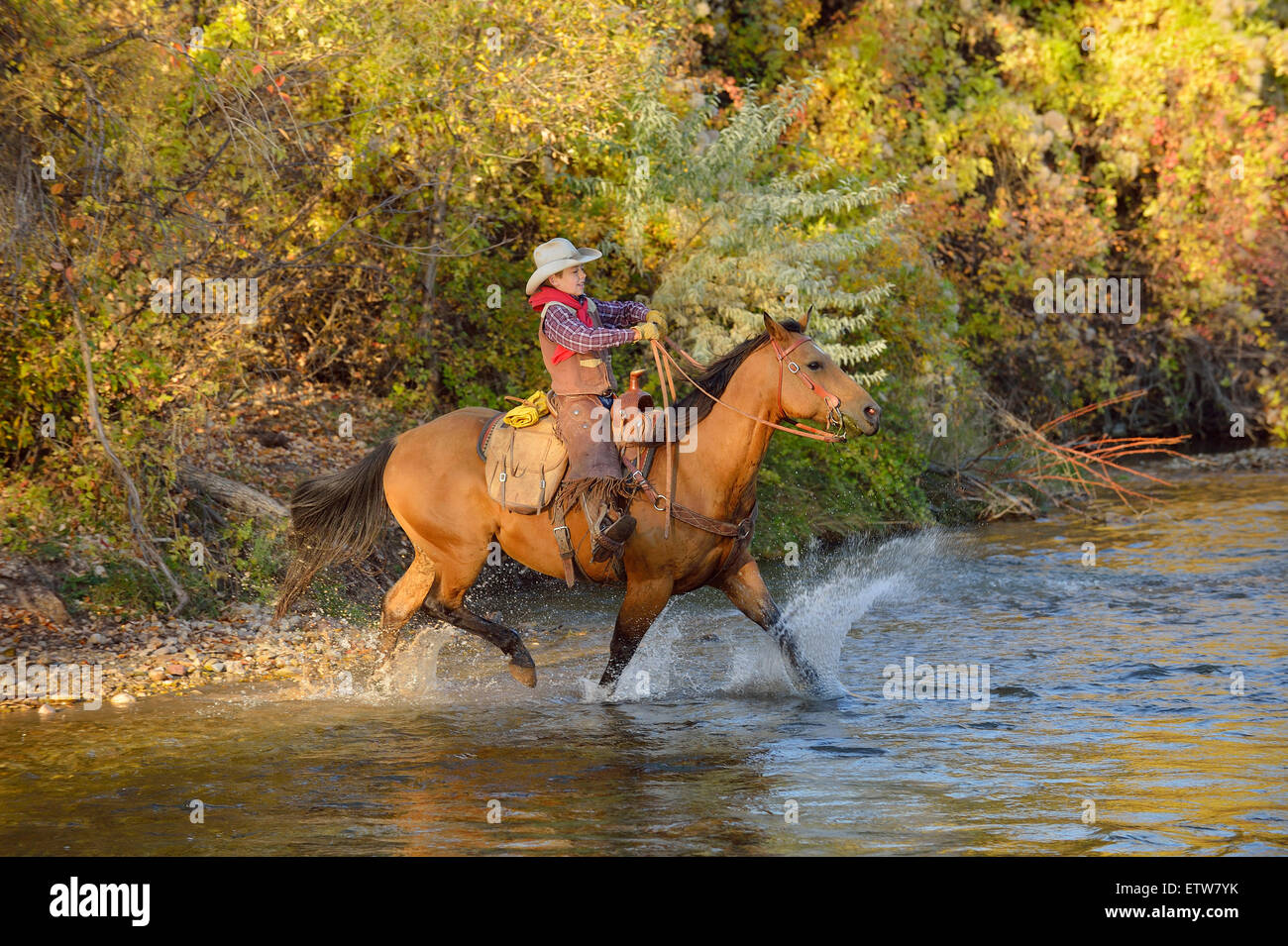 USA, Wyoming, young cowboy riding his horse across river Stock Photo ...