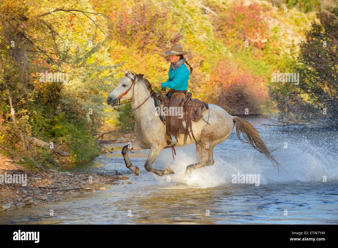 Fast horse riding hi-res stock photography and images - Alamy