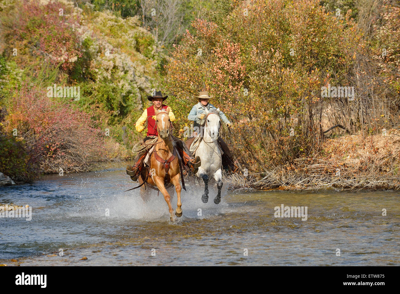 Cowboy on galloping horse hi-res stock photography and images - Alamy