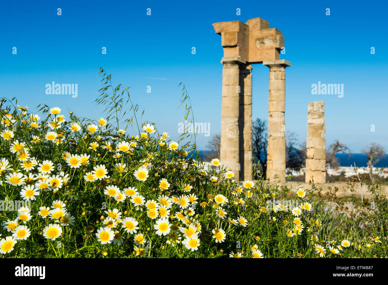 Greece, Rhodes, Temple of Apollo at the Acropolis Stock Photo - Alamy