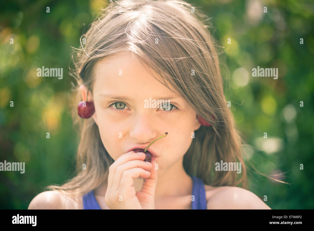 Long stem cherries hi-res stock photography and images - Alamy