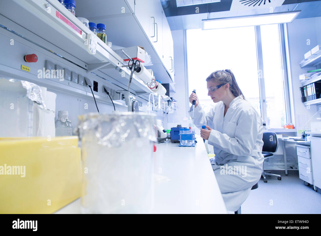 Young female scientist working at biological laboratory filling samples ...