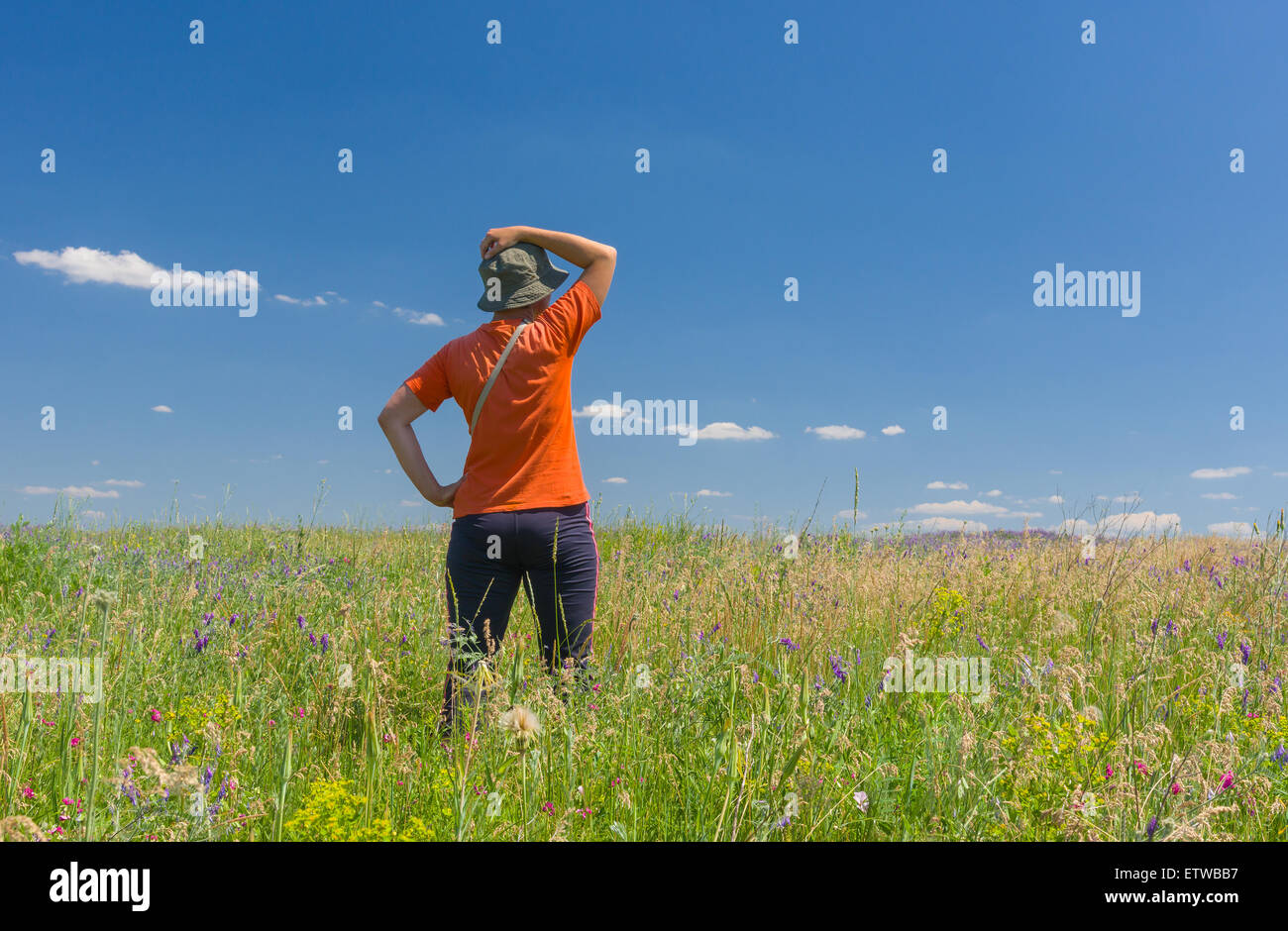 Woman herbs field hi-res stock photography and images - Alamy