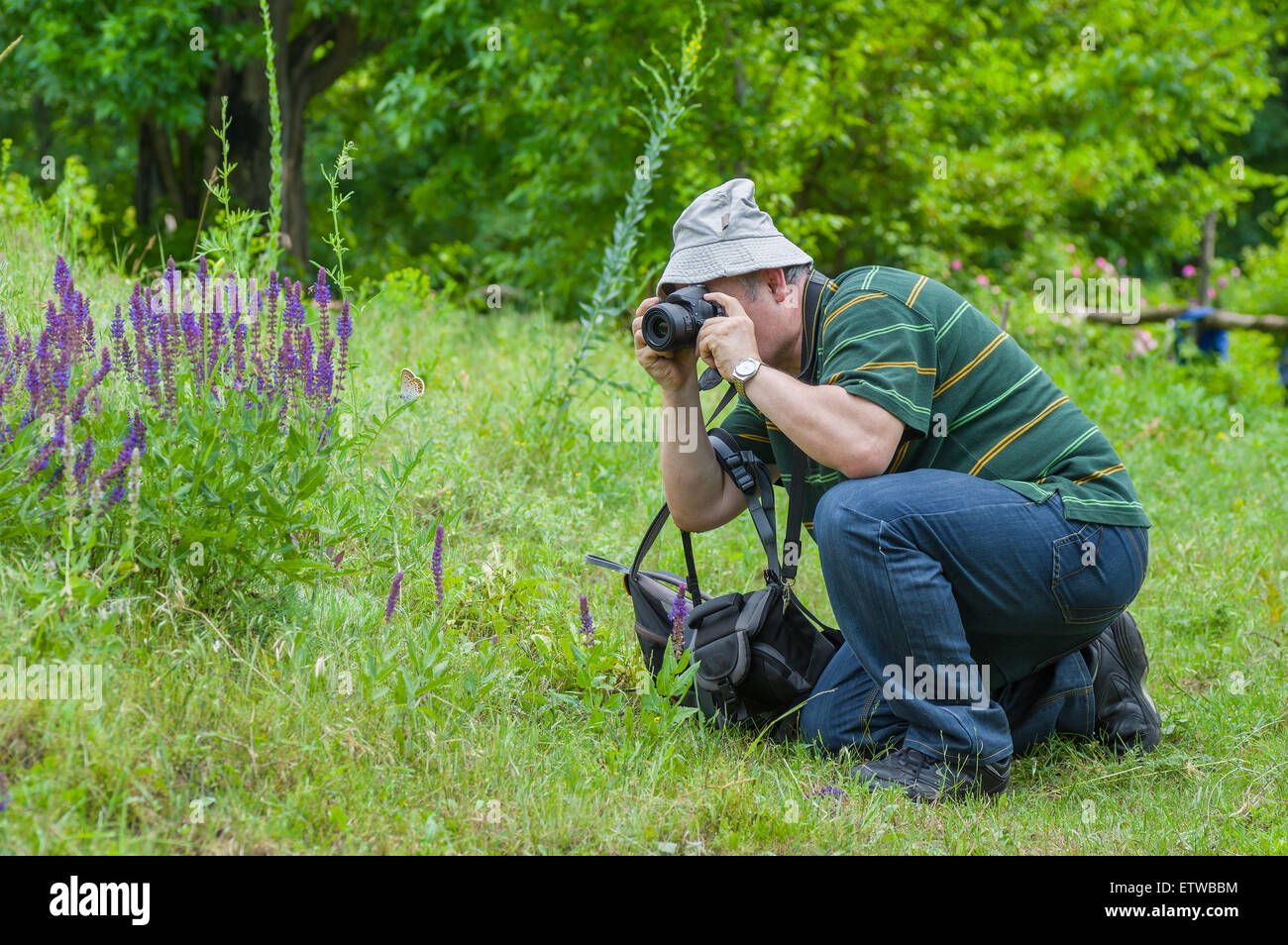 Enthusiastic mature photographer taking a photo of wild butterfly Stock ...