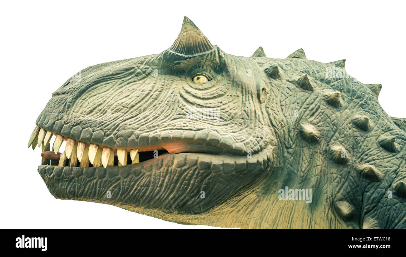 head ancient dinosaur on a light background Stock Photo - Alamy