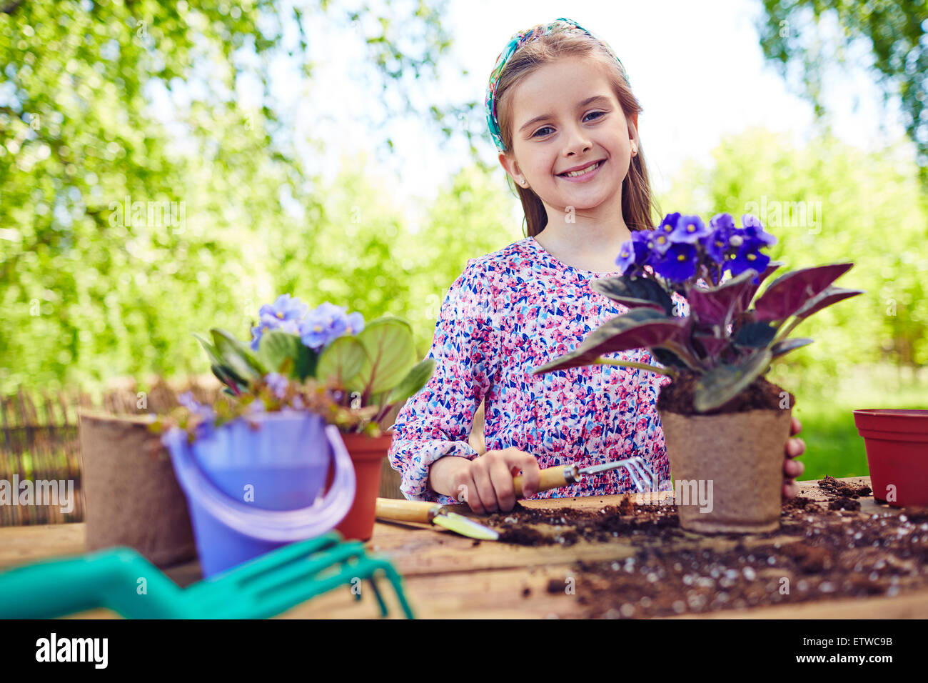 African violets, gardening hi-res stock photography and images - Alamy