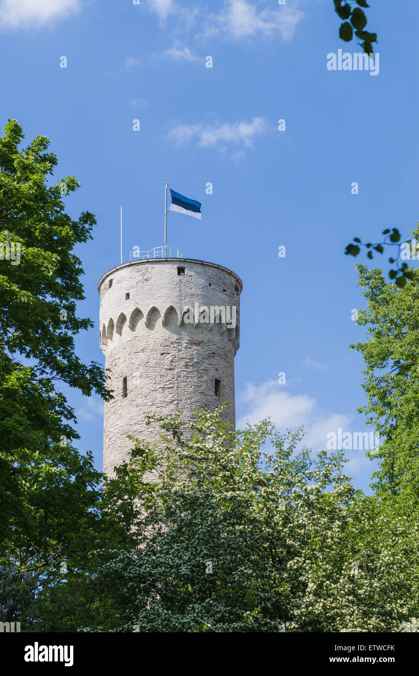 Tall Hermann - Toompea castle tower in Tallinn, capital of Estonia ...