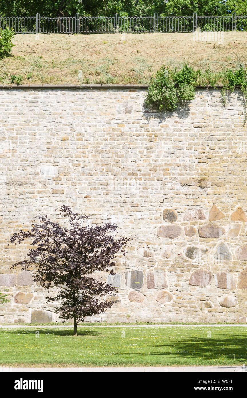 Grey limestone wall hi-res stock photography and images - Alamy