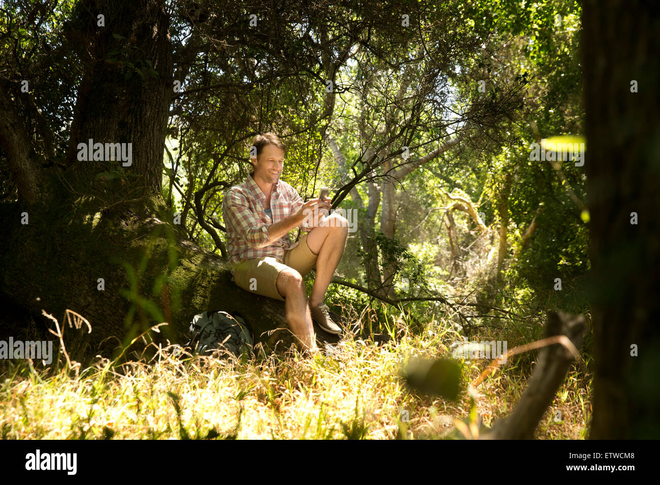 Tree map hi-res stock photography and images - Alamy