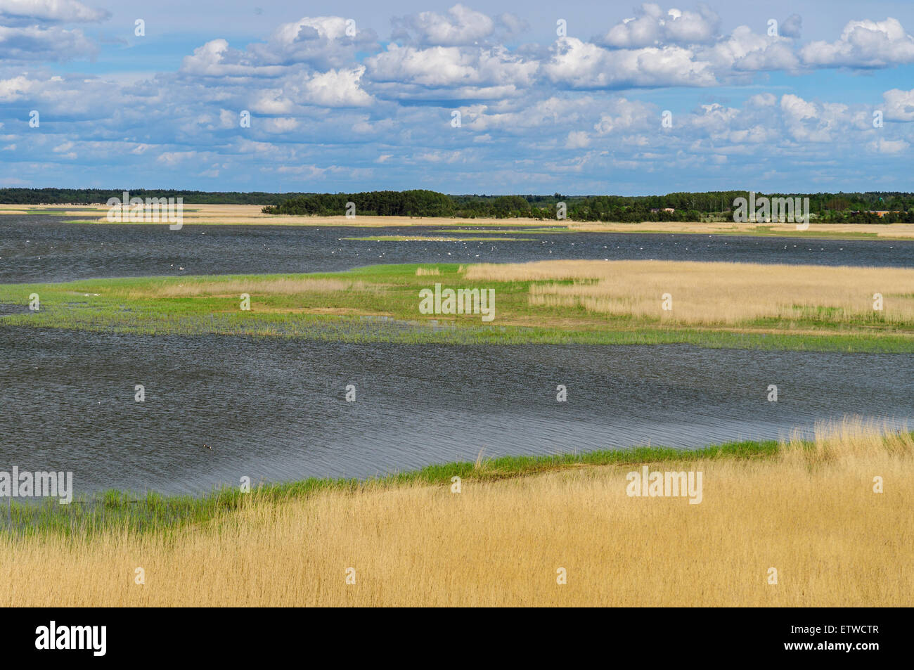 Lagoon landscape of bird reservation park aerial view Stock Photo - Alamy