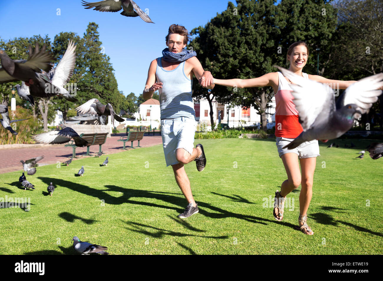 Man pigeon chasing hi-res stock photography and images - Alamy