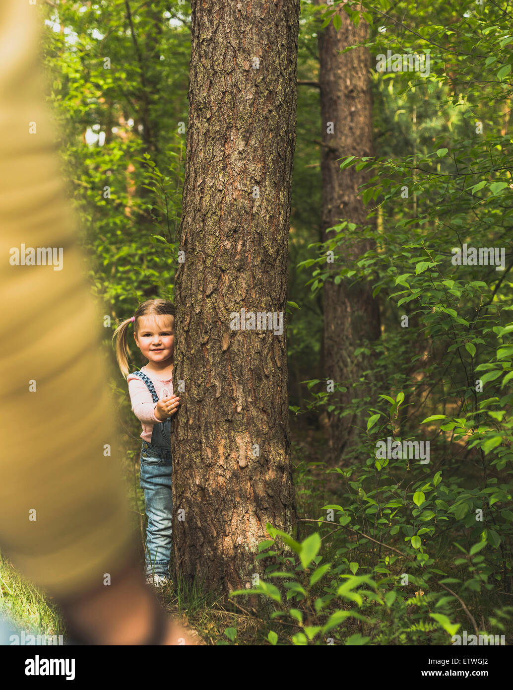 Girls hiding behind tree hi-res stock photography and images - Alamy