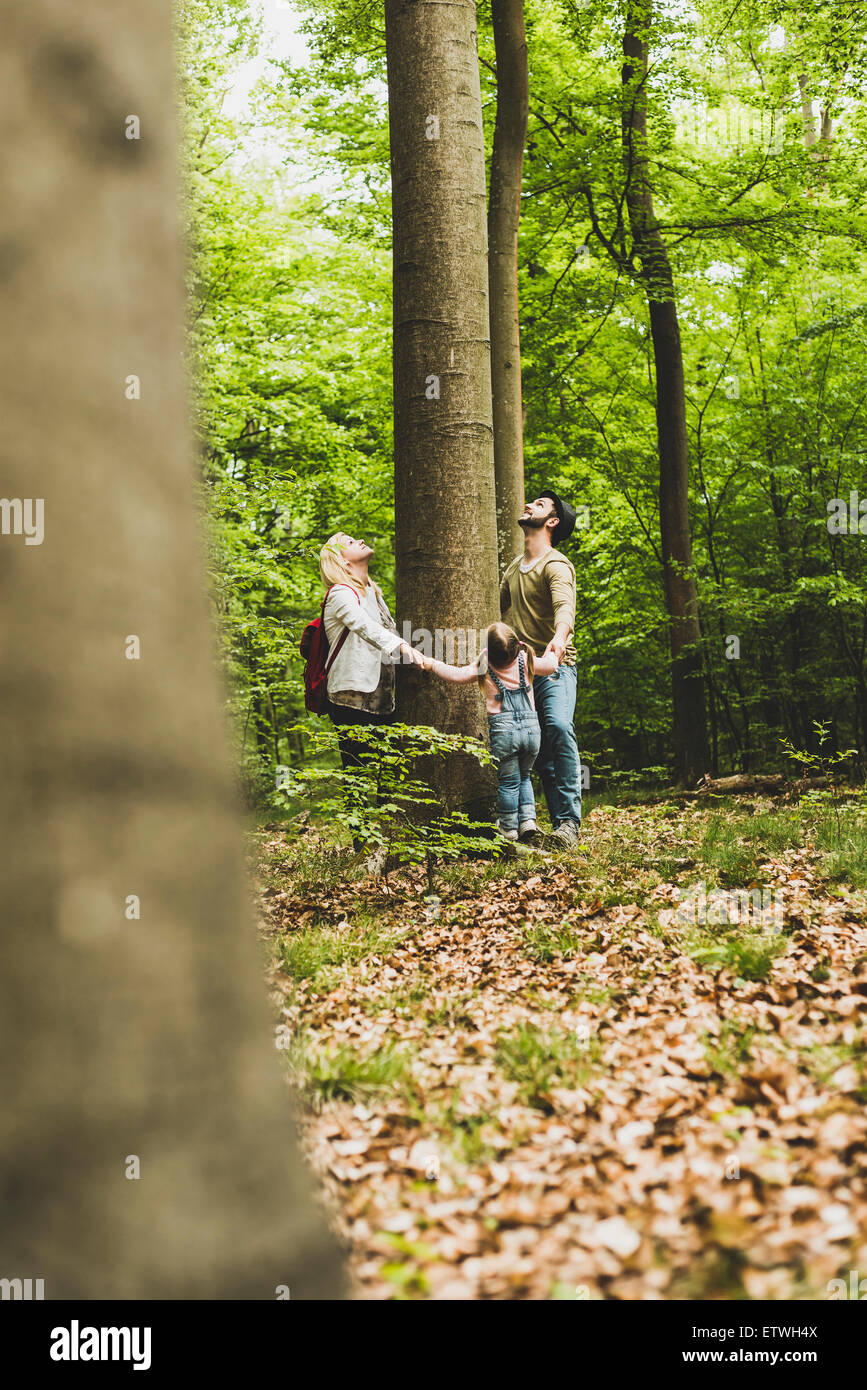 Family in forest standing around tree trunk looking up Stock Photo - Alamy