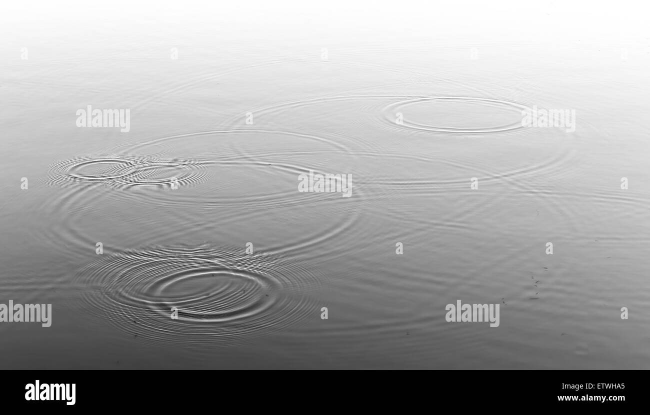 Fresh rain drops create ripples on the surface of a pond Stock Photo ...