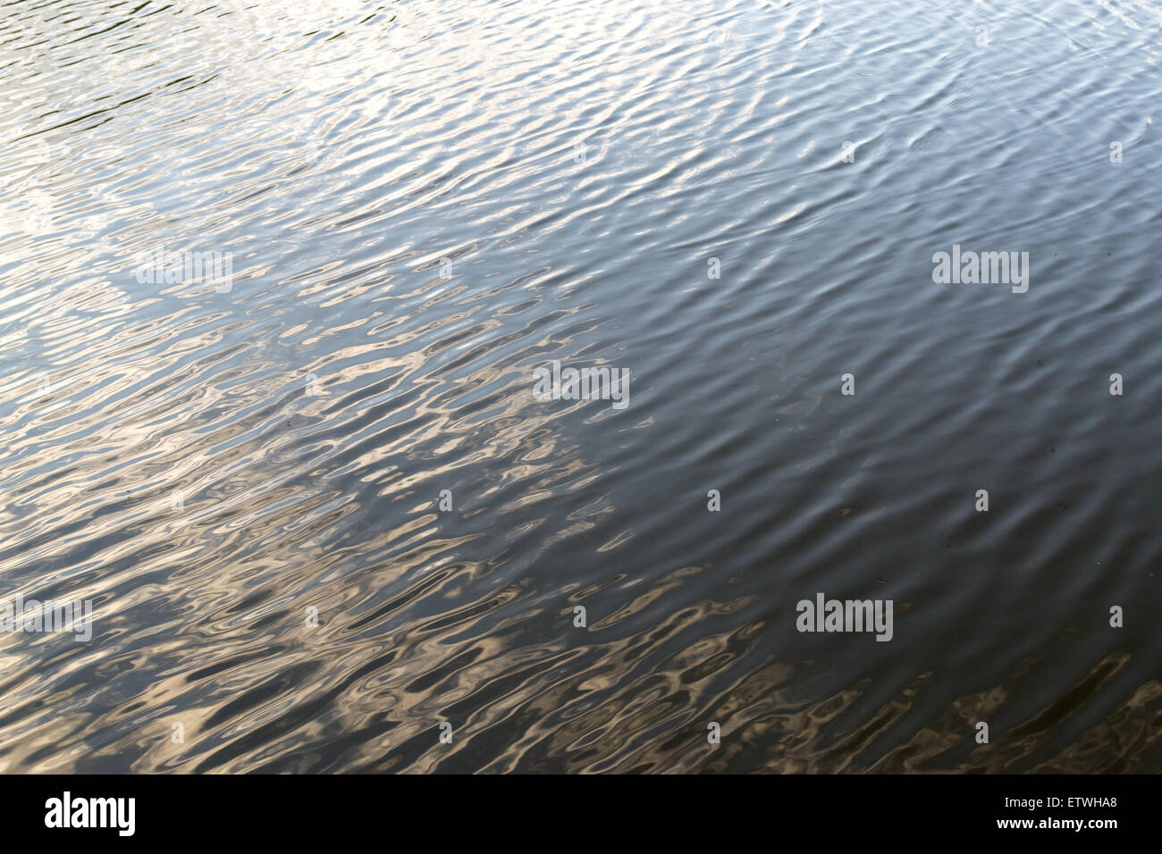 Ripples of water from a gentle breeze on the surface of a village pond ...