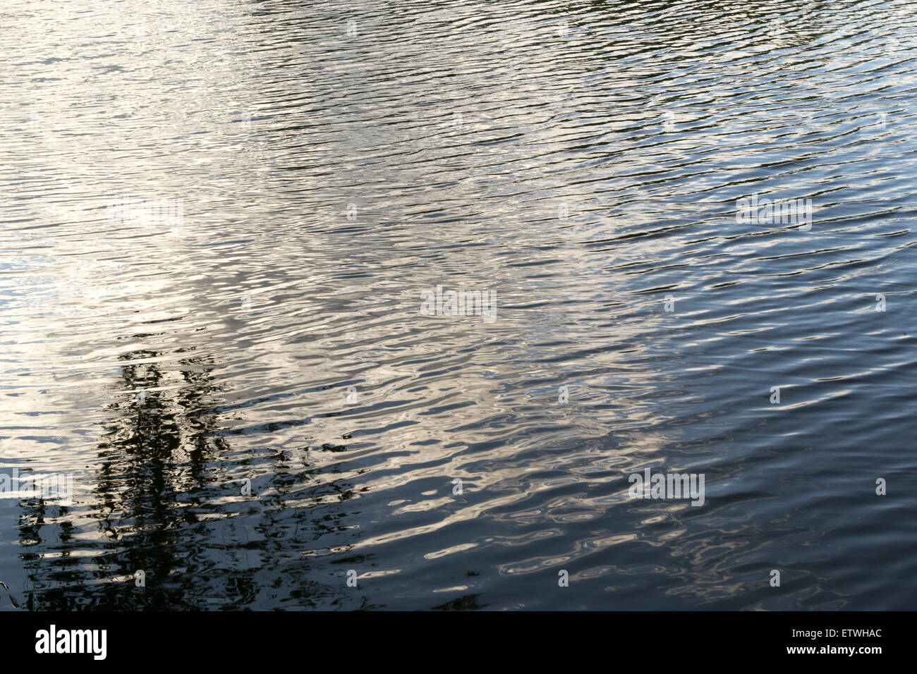 Ripples of water from a gentle breeze on the surface of a village pond ...