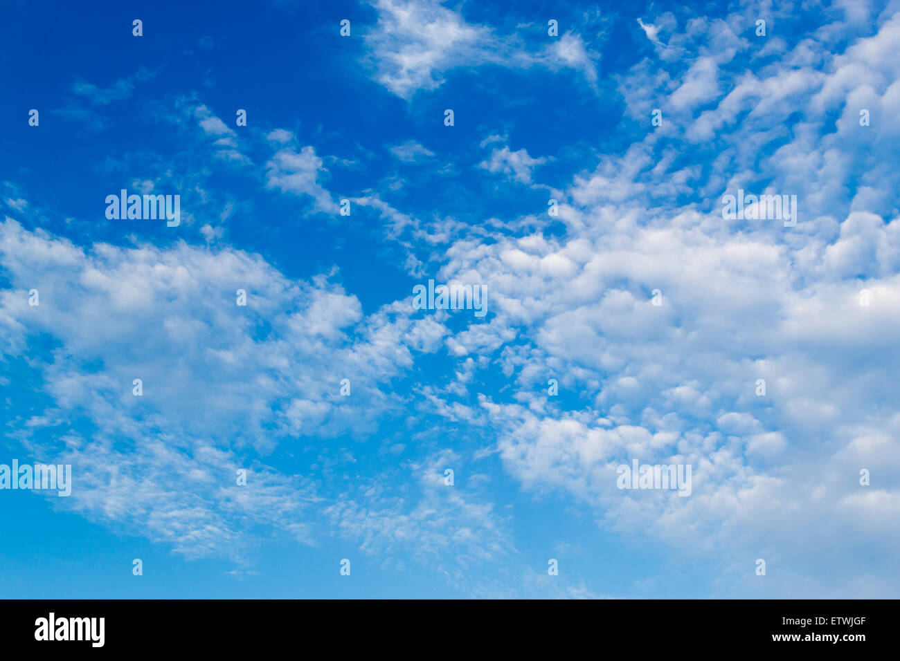 Fluffy high altitude clouds rise high into a blue sky with no ground ...
