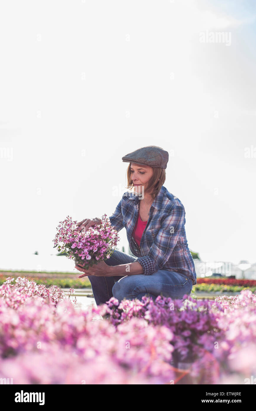 Woman in nursery looking at flower Stock Photo - Alamy