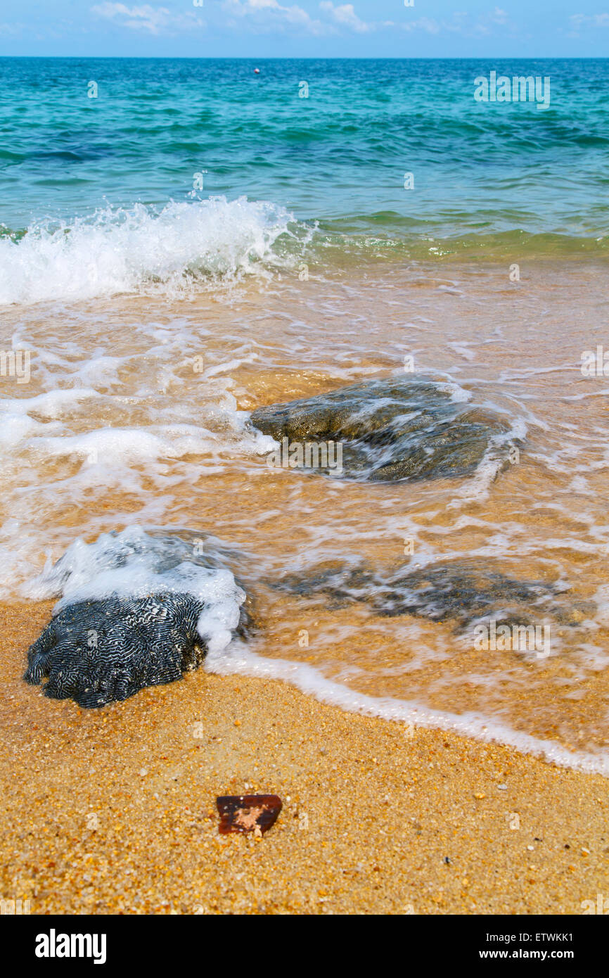 kho samui bay asia isle white beach tree rocks in thailand and south ...
