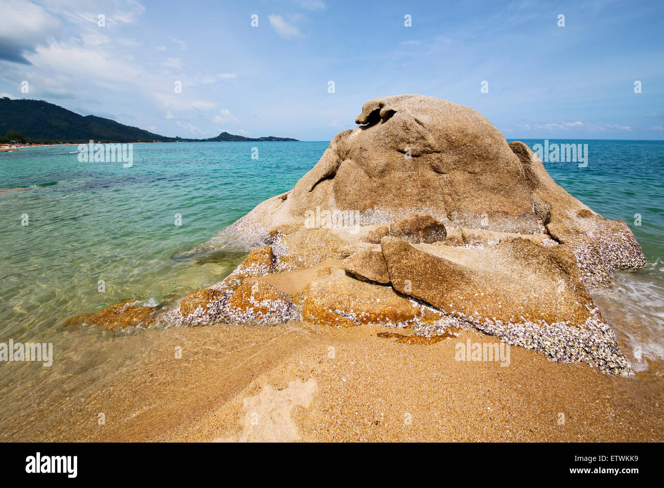 thailand kho samui bay isle white beach rocks in asia and south china ...