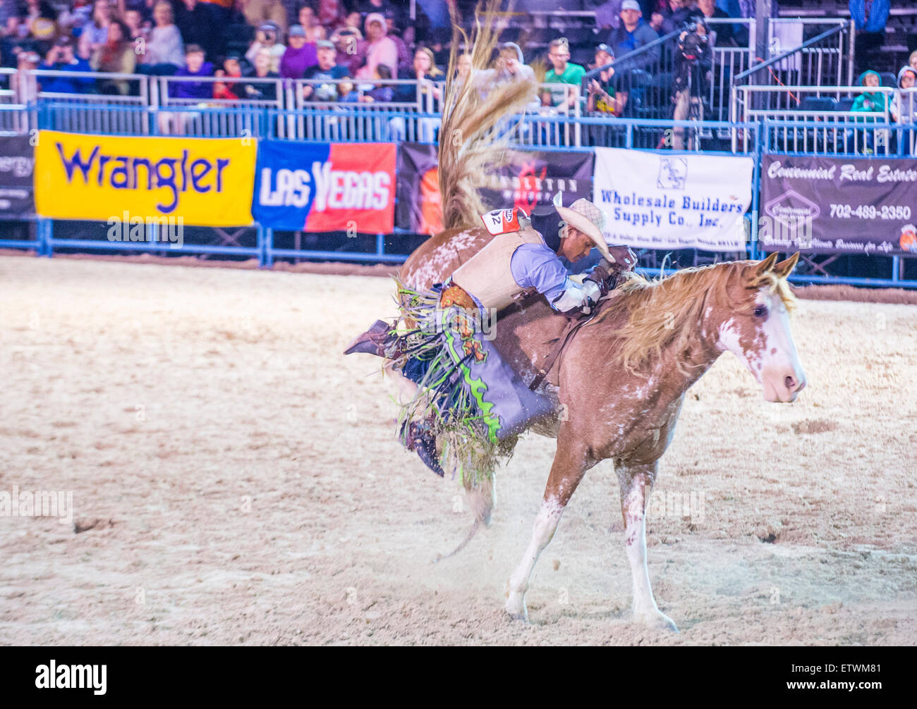 Cowboy Participating in a Bucking Horse Competition at the Helldorado ...