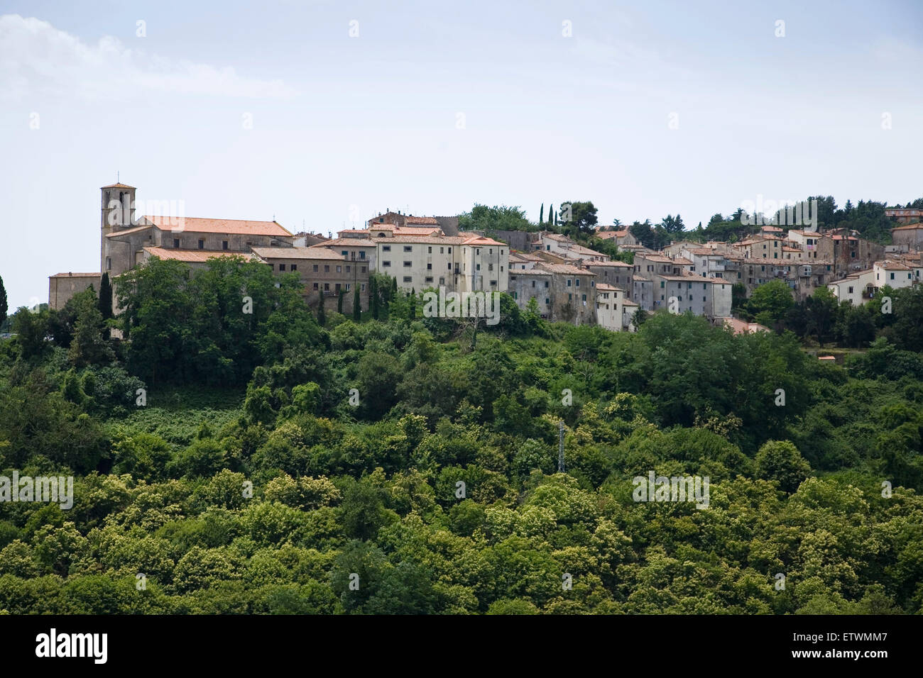 europe, italy, tuscany, scansano Stock Photo - Alamy