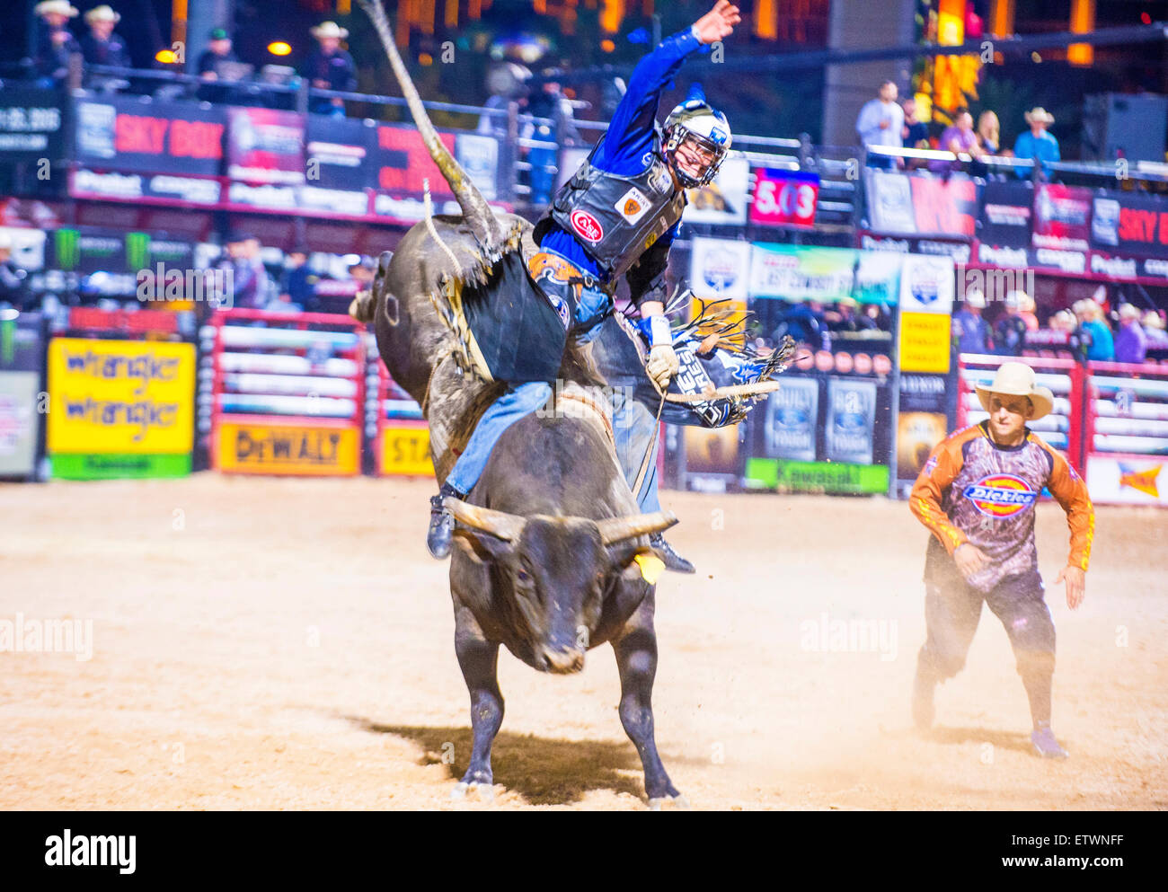 Cowboy Participating in a Bull riding Competition at the Las Cowboy ...