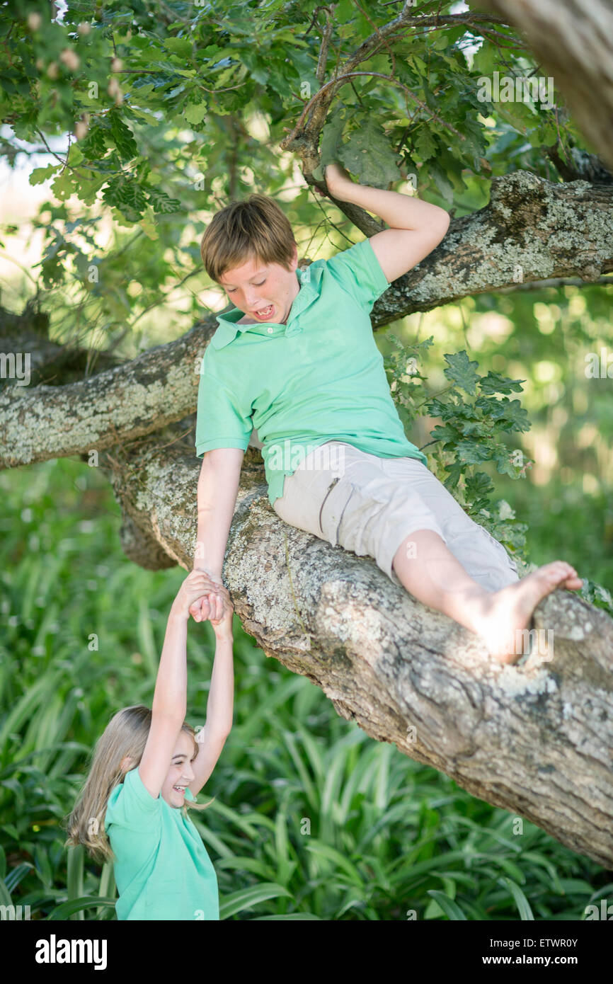 Boy and girl playing in a tree Stock Photo - Alamy