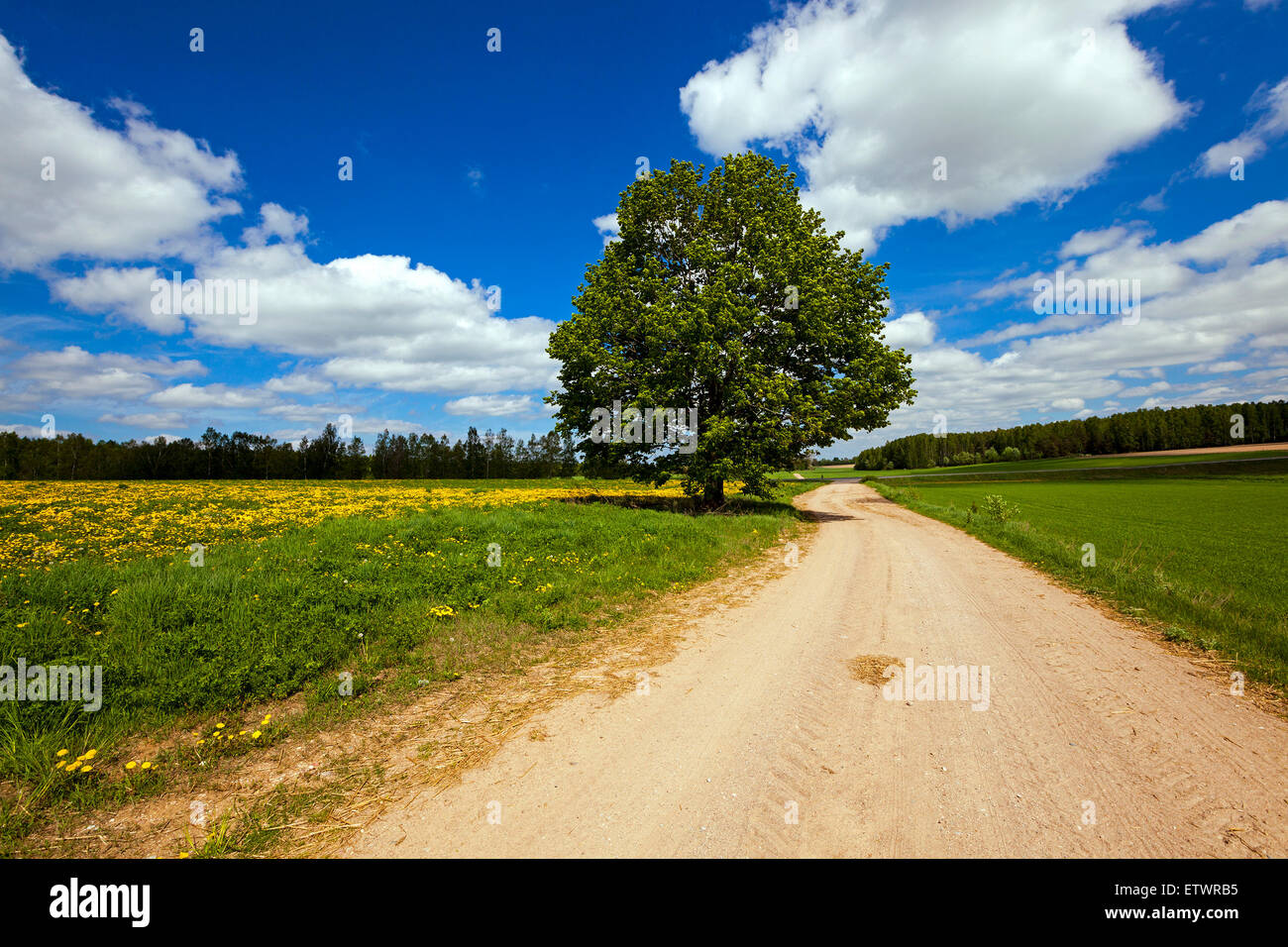 the rural road Stock Photo - Alamy